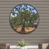 How Round Garden Mirrors Can Transform Your Outdoor Space | Soraya ...